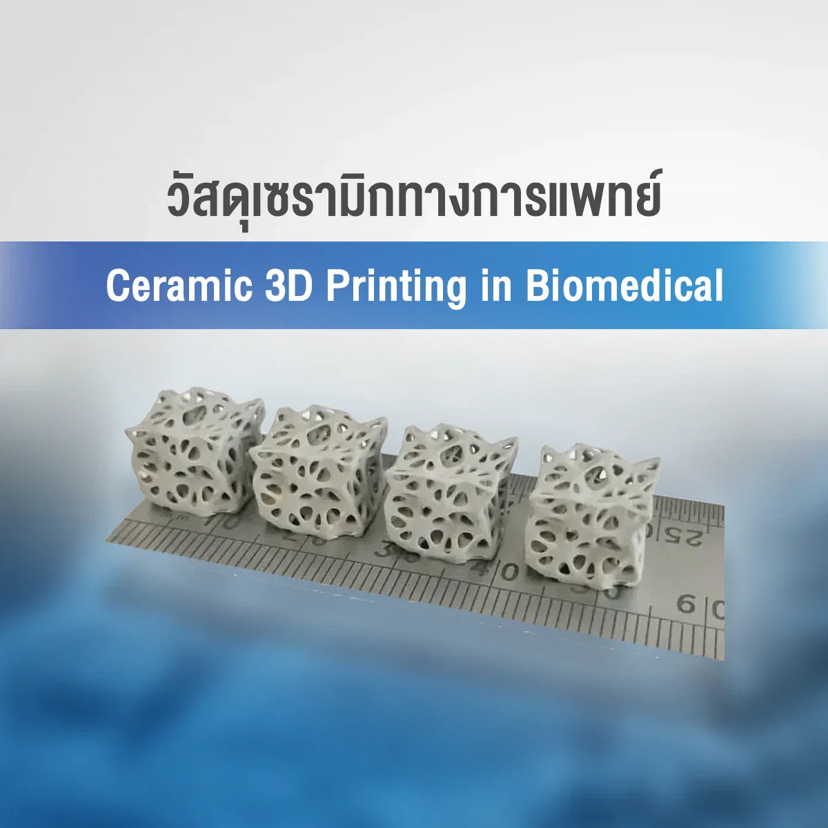 วัสดุเซรามิกทางการแพทย์ (Ceramic 3D Printing in Biomedical) – Sync ...