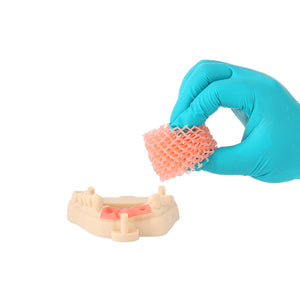 Resione F80 Gingival-like Resin 500 g - by Sync Innovation