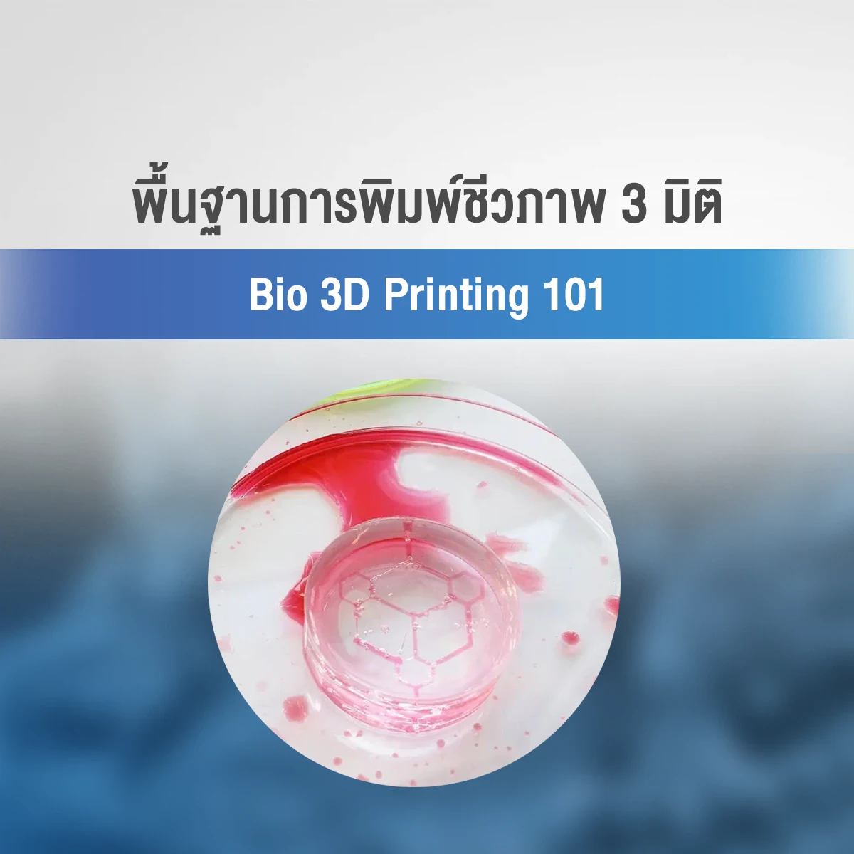 Bioprinting 101 พื้นฐานการพิมพ์ชีวภาพ 3 มิติ